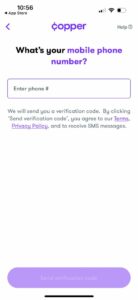 Copper Banking Review: My Experience - Kids' Money